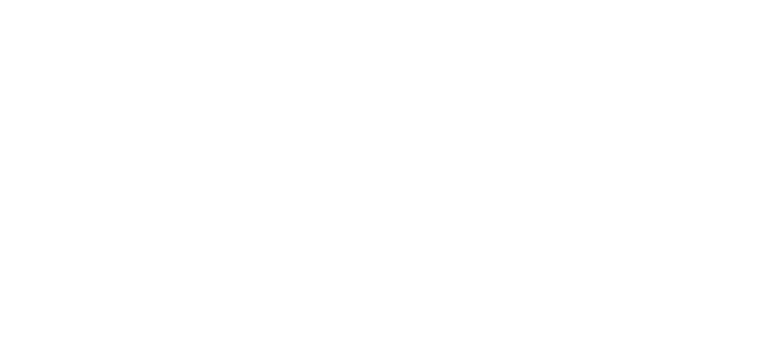 Tronic Asia